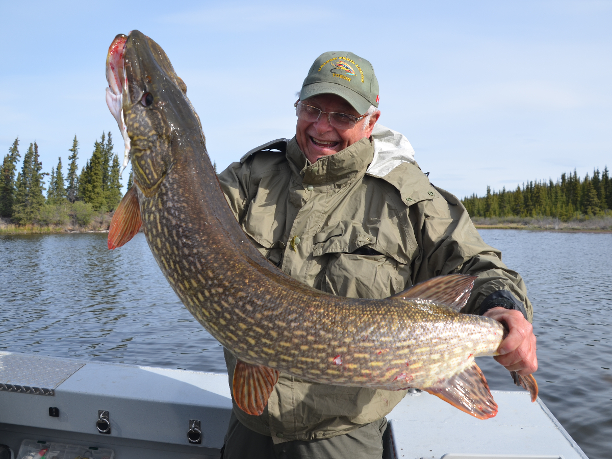 Learn about fly fishing for Yukon lake trout! | Hatch Adventure Travel